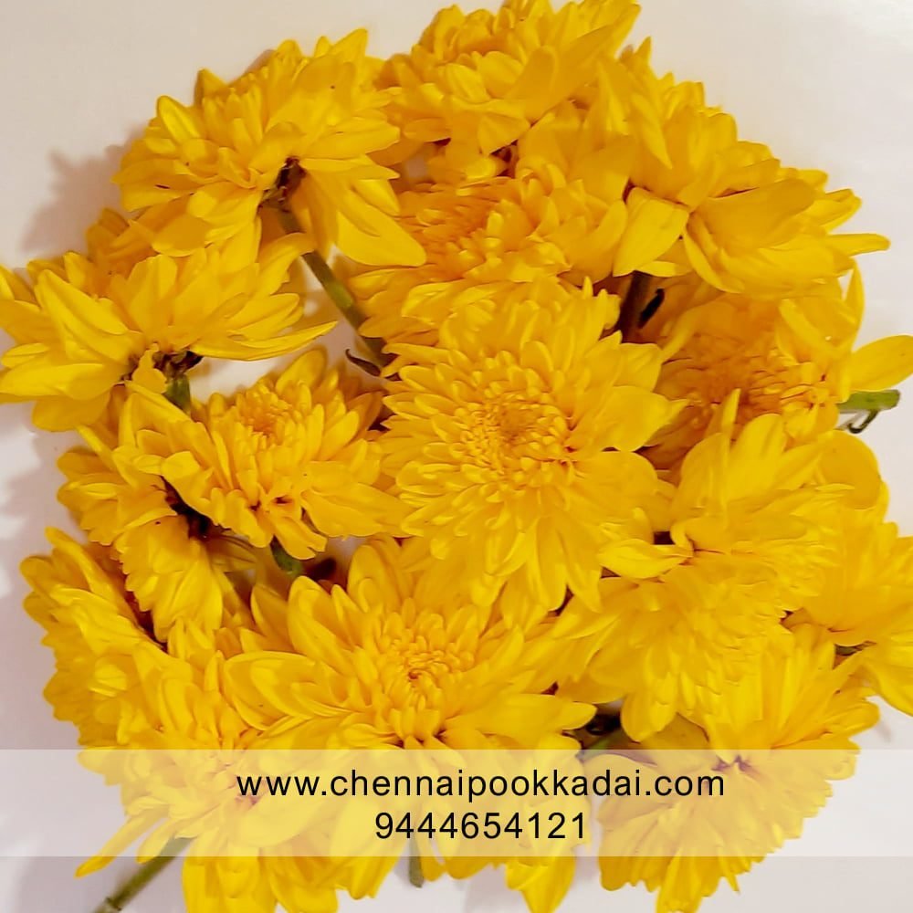 கலப்பின சாமந்தி Hybrid Samanthi - Chennai Pookkadai - Fresh Pooja ...
