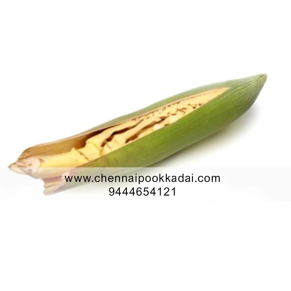 தென்னம்பாளை Coconut Flower - Chennai Pookkadai - Fresh Pooja Flowers ...