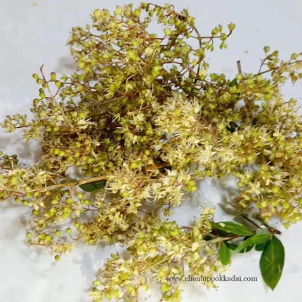 Chennai Pookkadai - Fresh Pooja Flowers and Pooja Items Sales in ...