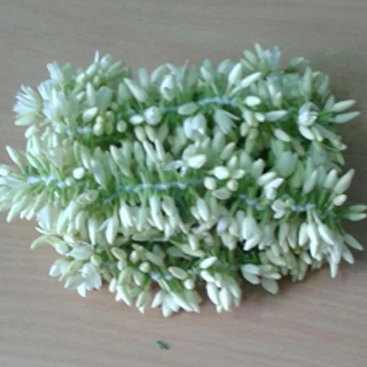 முல்லை பூச்சரம் Mullai Strings - Chennai Pookkadai - Fresh Pooja ...