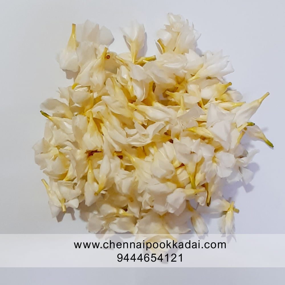 வெள்ளை அரளி White Arali - Chennai Pookkadai - Fresh Pooja Flowers and ...
