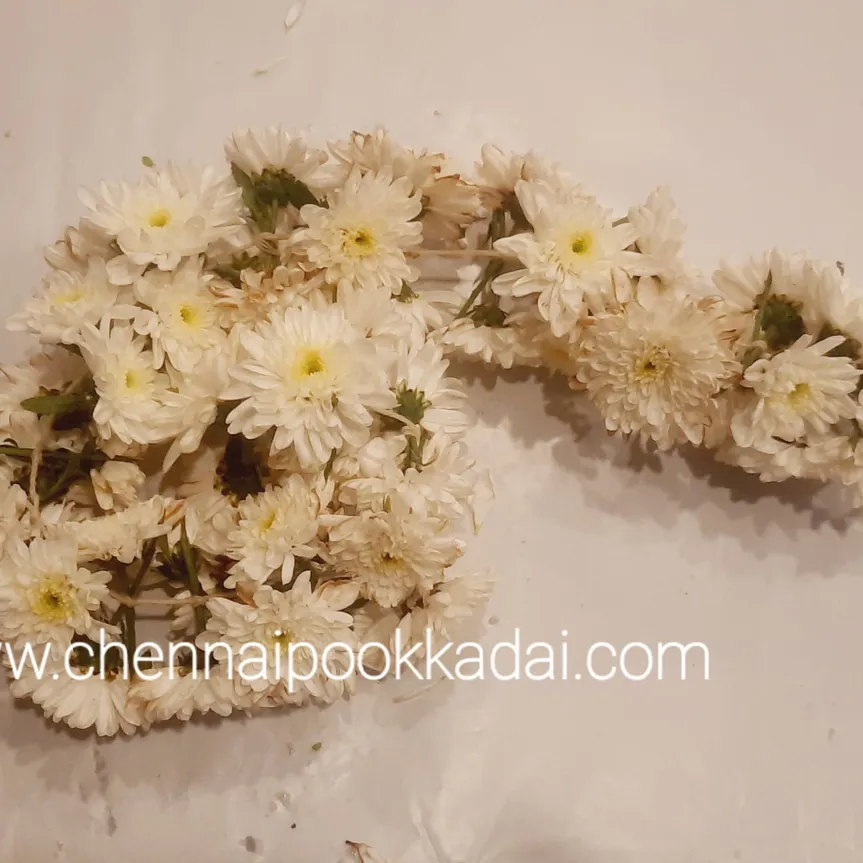 வெள்ளை சாமந்தி White Chrysanthemum Strings - Chennai Pookkadai - Fresh ...